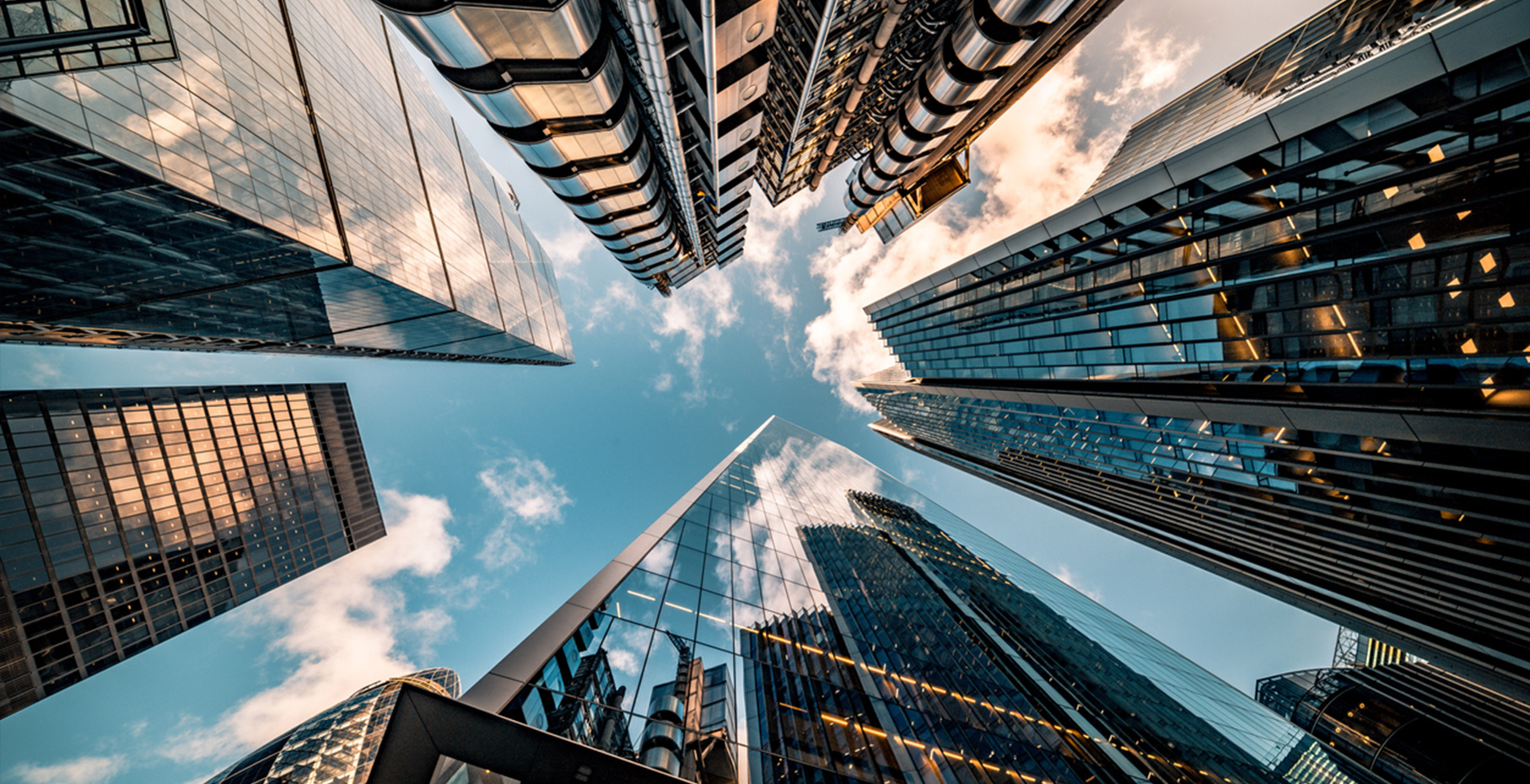 Financial Services | Sectors | Elephants Don’t Forget